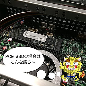 Sirius DSDPN-256G SSD 256GB PCIe NVMe