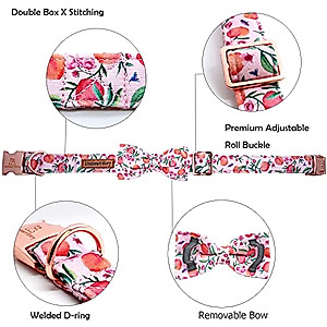 Lionheart glory Dog Collar with Bow Tie Pink Peach Dog Collar Girl Soft Durable Adjustable Puppy Gift Collar Bows Spring Collar Dog Bow