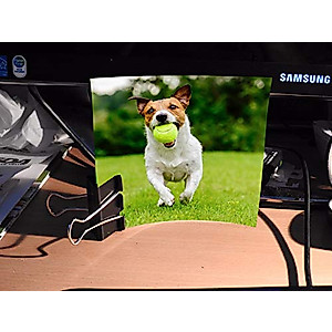 Coideal Medium Binder Paper Clips Clamps Black, 24 Per Tub 1 1/4 Inch Metal Foldback Bull Clip for Office Home Kitchen (32mm)