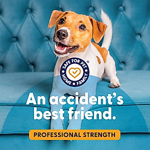 Origin Labs OdorFx Pet Stain and Odor Remover for Pet Stains and Odors, Fragrance Free Rug, Upholstery, and Carpet Cleaner Solution, Probiotics and Enzyme Cleaner Spray No Harsh Chemicals, 32 Fl Oz