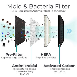 Alen T500 Air Purifier, Quiet Air Flow for Large Rooms, 500 SqFt, Portable Air Cleaner for Allergens, Dust, Mold, Pet Odors, Bacteria, in Black