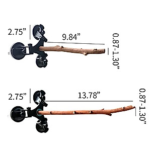 BETYMAO Wood Parrot Perch with Suction Cups Bird Window Perch Bird Bath Perch Bird Training Perch Cockatiel Shower Perch Parakeet Stand Perch Bird Cage Accessories for Home Decoration Short