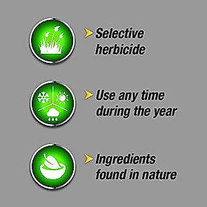 Pulverize Weed Killer for Lawns Concentrate