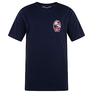 Hurley Mens Everyday Washed Graphic T-Shirt, Obsidian/Fusion Red, Large US