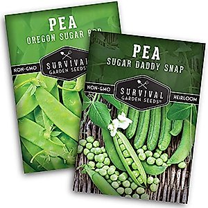 Survival Garden Seeds Sugar Peas Collection Seed Vault - Oregon Sugar Pod II Pea & Sugar Daddy Snap Pea - Non-GMO Heirloom Varieties to Grow Delicious Cool Weather Vegetables on Your Homestead