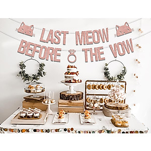 Last Meow Before the Vow Banner, Cat Themed Bachelorette Party Decorations, Bridal Shower Engagement Party Decorations, Hen Wedding Party Supplies Rose Gold