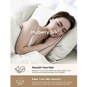 100% Pure Mulberry Silk Pillowcase for Hair & Skin - 22 Momme 6A High-Grade Fibers - Anti-Aging, Anti-Sleep Crease, Cooling Satin Pillowcases with Hidden Zipper, Best Gift Idea (Standard 20x26 Inches)