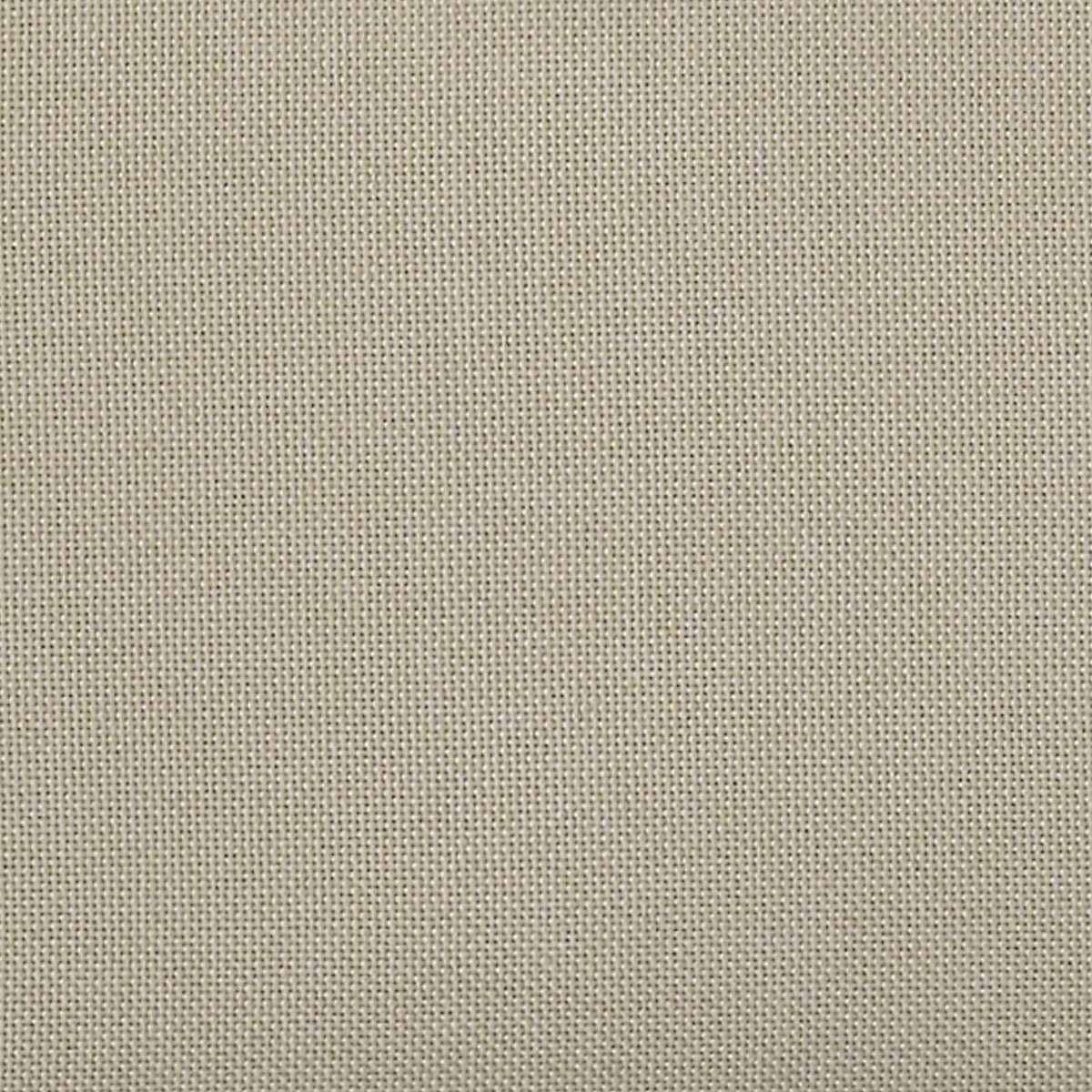 Husbedom 50" Loveseat Sofa, Contemporary Small Couch with Button Tufted Décor, Love Seats Furniture for Small Spaces, Living Room, Bedroom, Apartment, Dorm, Beige