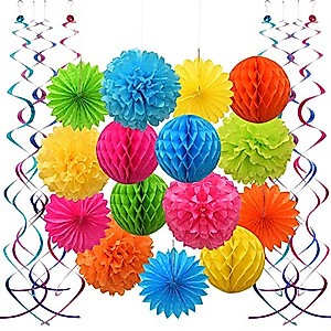 Colorful Paper Party Decorations, Tissue Paper Flower&Party Pom Poms wth Swirl Streamers, Premium Material with Vivid Colors, Hanging Décor for Birthday/Wedding/Bridal Shower/Bachelorette