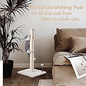 MECOOL 34” Tall Cat Scratching Post Premium Basics Kitten Scratcher Sisal Scratch Posts Trees with Hanging Ball for Indoor Cats (34 inches for Adult Cats, Beige)