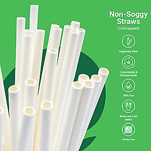 Unwrapped 8-Inches No-Sog Straws | Heavy Duty,100% Biodegradable, Plastic Free|Made of Plant-Based Sugarcane Fibers|Drinking Straws|Pack of 100