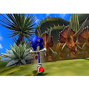 Sonic and the Secret Rings - Nintendo Wii