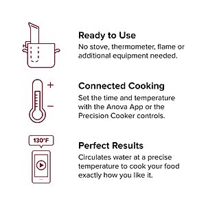 Anova Culinary (ANOVA)ᴿᴱᴰ Precision Cooker Nano, Black, Small