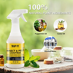 TRAP IT! Insect Repellent Peppermint Oil Spray for Bugs, 16OZ Natural Pest Control Spray for Home Kitchen Ant Spider Roach Fly Killer, DEET-Free Pet Family Safe Bug Spray Indoor Outdoor Patio Yard