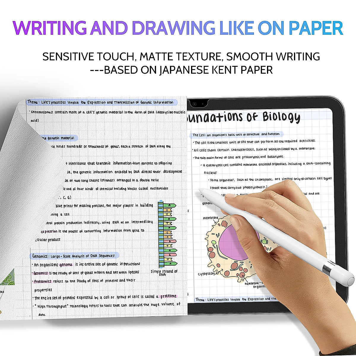 Peslv 2 Pack Anti Blue Light Paper Film for iPad 10th Gen 2022 (10.9 Inch), Drawing & Writing Feel Like on Paper, Matte Anti Glare PET Screen Protector, BlueLight Filter Eye Protection Cover