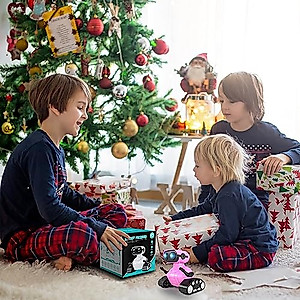Robot Toys, Rechargeable RC Robots for Boys, RC Robot Toys for Kids, Kids Toys with Music and LED Eyes, 3+ Years Old Boys/Girls Toys (Pink)