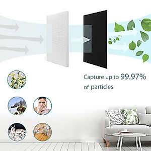 FFsign C545 True HEPA Replacement Filter S for Winix C545, 2 Pack H13 Grade 1712-0096-00 Filter S & 10 Pack Activated Carbon Filters