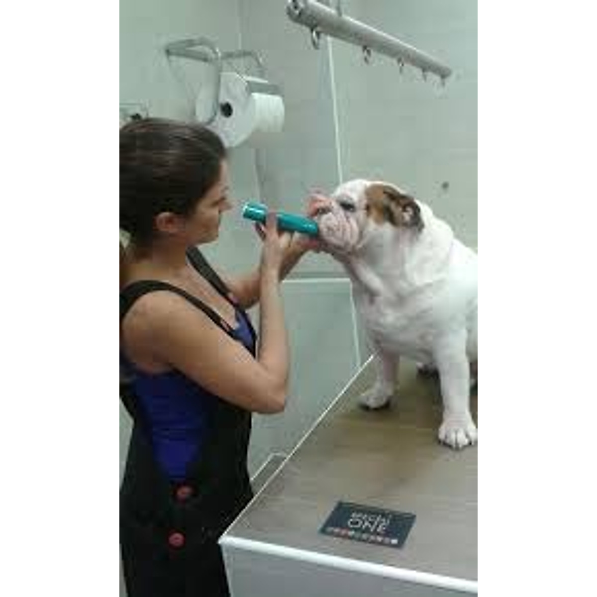 Emmi-pet Ultrasound Bristle-Head Attachments to Clean Pets' Teeth and Gums (Large Head Size, Set of 2)