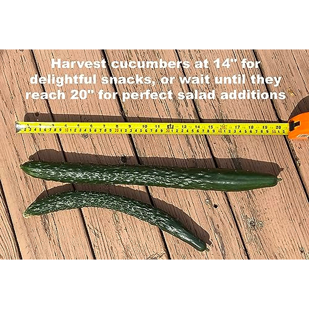 For 2024!Cucumber Seeds for Planting Vegetables and Fruits-Asian Suyo Long Cucumber Plant Seeds,Burpless Non GMO Garden Seeds Vegetable Seeds,Chinese Cucumber Seeds-11ct Veggie Seeds China Long Hybrid