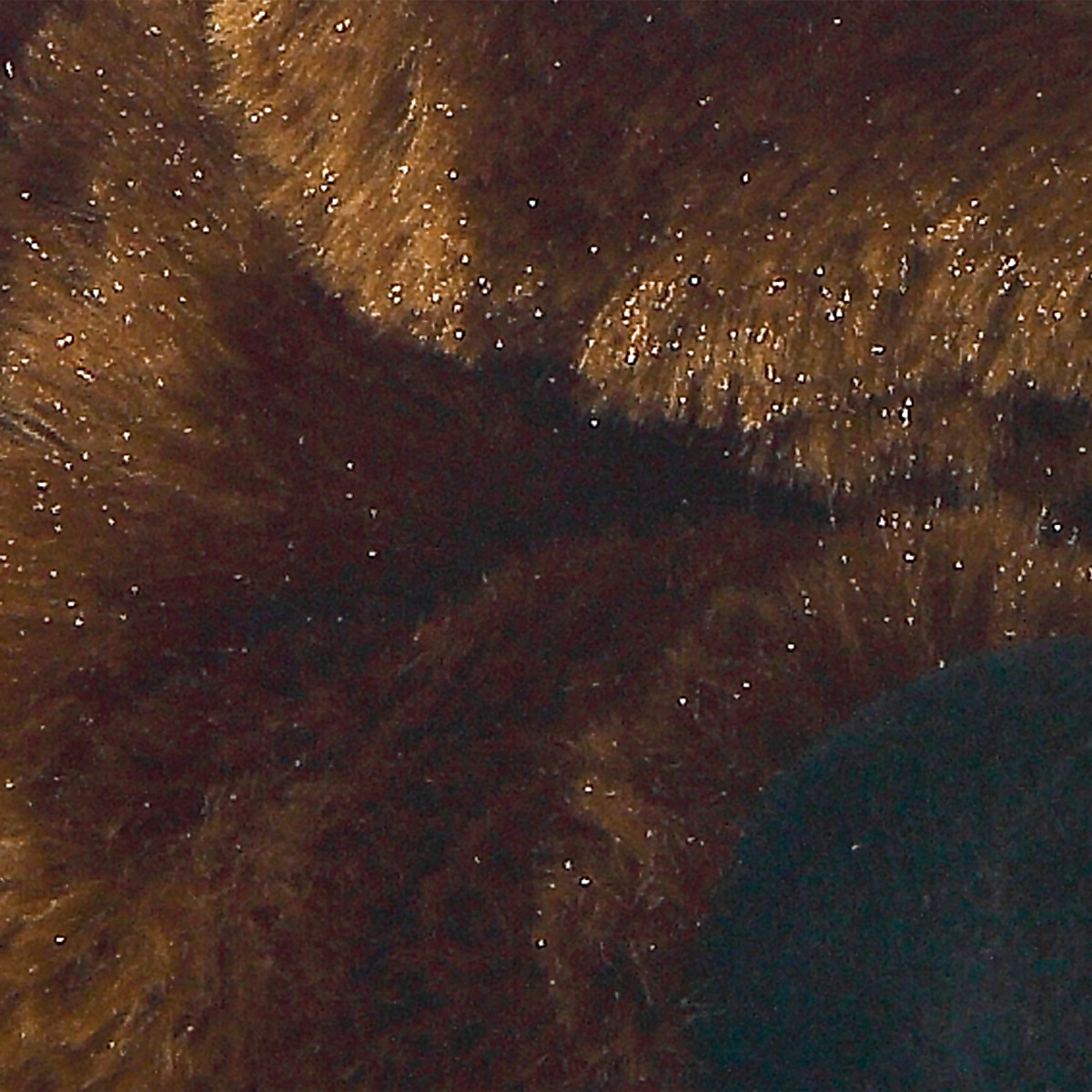 Aurora® Adorable Mini Flopsie™ Brown Toro Stuffed Animal - Playful Ease - Timeless Companions - Brown 8 Inches