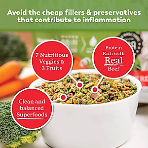 Dr. Harvey's Beef & Garden Veggies Dog Food, Human Grade Grain-Free Dehydrated Food for Dogs with Freeze-Dried Beef, Trial Size (5.5 Oz)