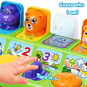 FS Pop Up Toys for Babies 6 to 12 Months with Light and Music, Cause and Effect, 9 10 12 18 Month Old Baby Toys for 1 Year Old Boys & Girls