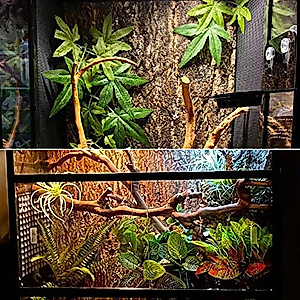 Tfwadmx Cork Tile Terrarium Background Reptile Bark Backdrop Wall Decor 3D Bearded Dragon Tank Climbing Mat Decoration for Gecko Lizard Tortoise Chameleon (2 Pack)