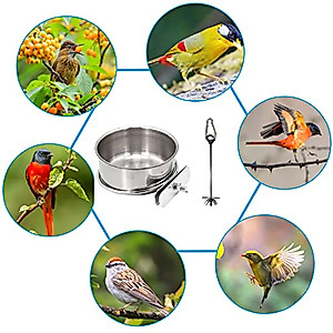 Hamiledyi Parrot Feeding Cup,Bird Food Dish Stainless Steel Bird Cage Feeding Bowls with clamp Holder-for Parrot Macaw African Gray Parakeet Canary Cockatie Conure(3 Pcs)