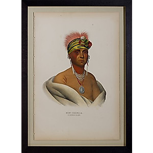 Mon-Chonsia, A Kansas Chief