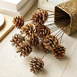 JOHOUSE Natural Pine Cones, Christmas Rustic Pinecones Fall Garland Halloween Thanksgiving Decorations, Christmas Tree Fall Ornaments,18 PCS