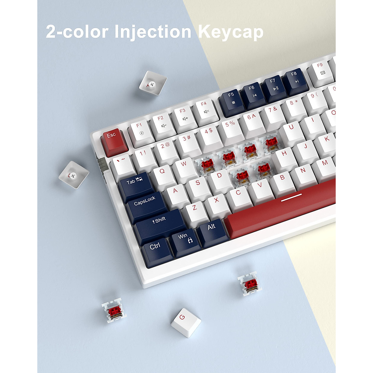 Camiysn Compact 80% Mechanical Keyboard, 98 Keys Hot-Swappable Gaming Keyboard with Number Pad, Gaming/Office Ergonomic Keyboard with Red Switches for Windows Mac PC, Grey Black