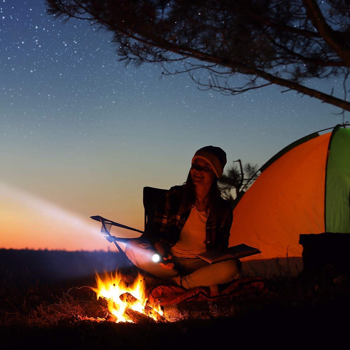 TBE LIGHTING Replacement 2D 2.4 Volt, 0.7A Bayonet Base P13.5 Krypton Flashlight Bulbs, Pack of 2 Energy efficient Flashlight Krypton Bulbs to fit a Standard 2D Torches