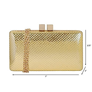 Metallic material Box Clutch, gd4