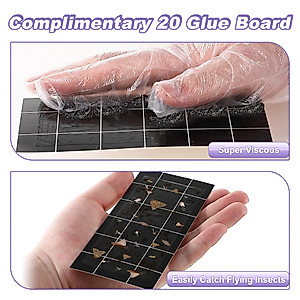 Qualirey Flying Insect Trap (1 Device 10 Sticky Boards), Fruit Fly Traps for Indoors with UV Light, Insect Zapper for Fruit Flies Mosquito, Indoor Fly Catcher for Home Office(2 Pack)