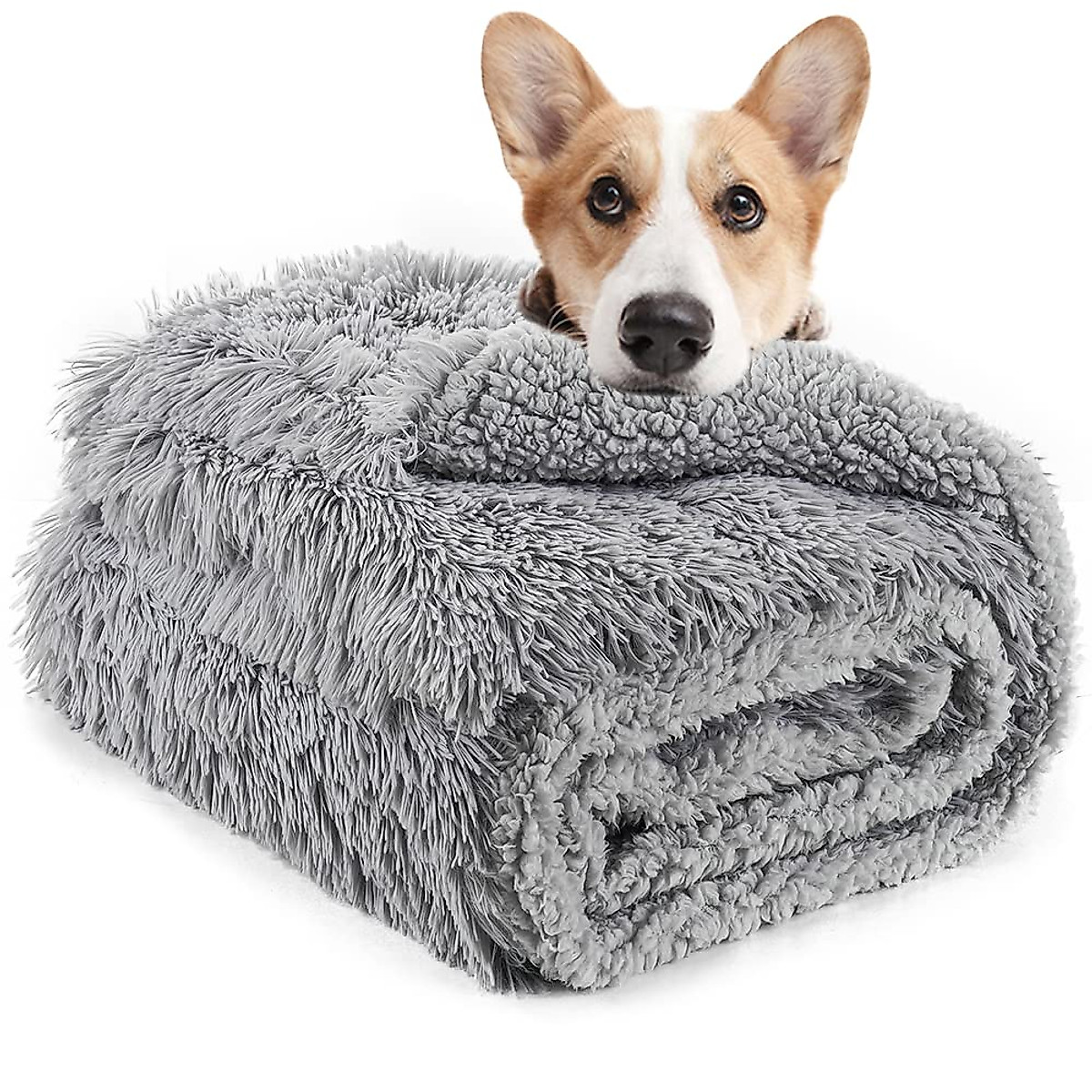 LOCHAS Luxury Fluffy Dog Blanket, Extra Soft and Warm Sherpa Fleece Pet Blankets for Dogs Cats, Plush Furry Faux Fur Puppy Throw Cover, 20''x30'' Grey