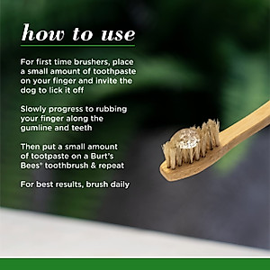 Burt's Bees for Pets Bamboo Bristle Dog Toothbrush - Naturally Derived Dog Toothbrush Made from Bamboo - BPA Free, Ergonomic Handle Toothbrush for Dogs, Bamboo Dog Toothbrush