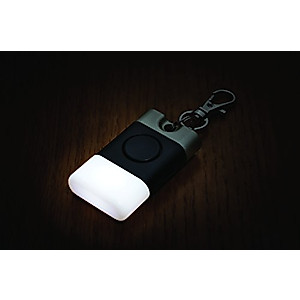 Xodus Innovations BL300 Easy to Find Always Glowing LED Key Chain Purse Light with Flashlight