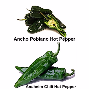 PLEASE READ! THIS IS A MIX!!! 30+ Hot Pepper Mix Seeds, 16 Varieties Heirloom NON-GMO Habanero, Tabasco, Jalapeno, Yellow and Red Scotch Bonnet, Ships from USA! US Grown.