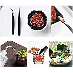 21 Pieces Succulent Plant Tools - Succulent Hand Transplanting Garden Tool Kit - Plant Care Accessories for Bonsai and Miniature Indoor Plants - Succulent Terrarium Tools Set Indoor Gardening Tools