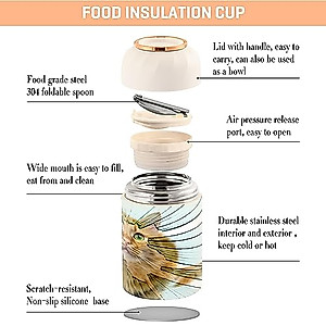 CUPADA Ginger Cat Lovely Food Jar, Broken Glass Design Insulated Hot Food Jars Vacuum 17OZ with Folding Spoon for Work Trip Picnic Camping