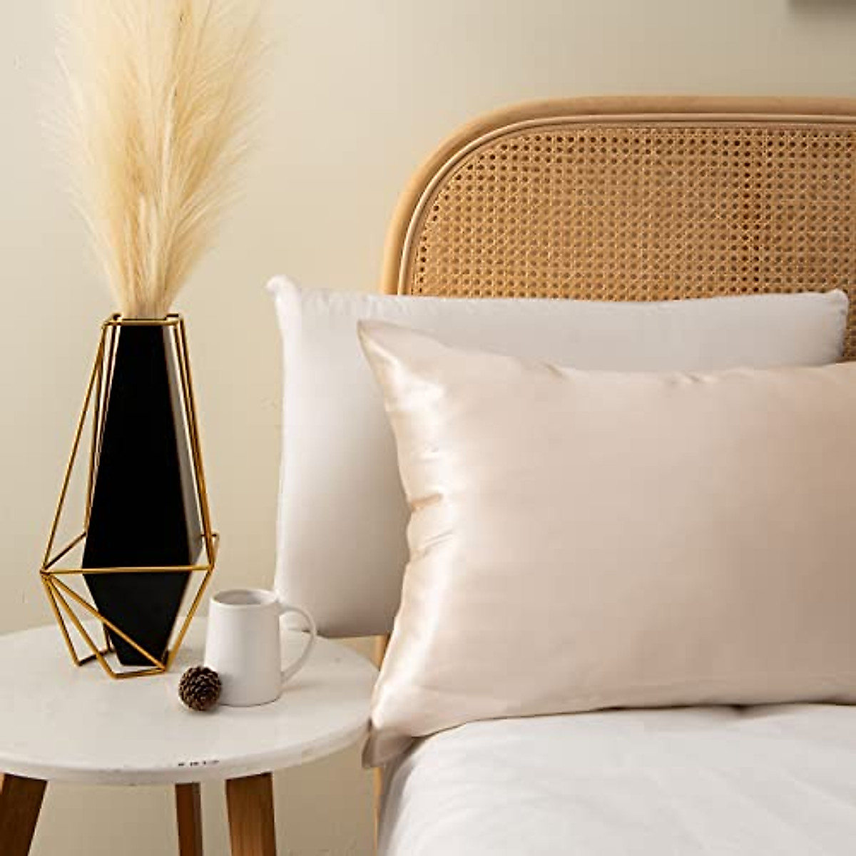 Rillza 100% Pure Mulberry Silk Pillowcase for Hair and Skin, Hidden Zipper (Ivory, Queen 20''x30'', 1 PC), Anti Acne Wrinkle, Soft Smooth, Premium Gift Box, Grade 6A Silk Pillow Case