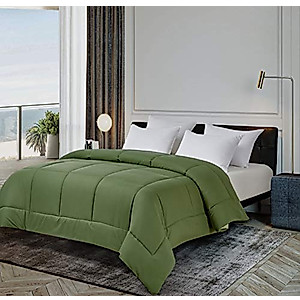 Blue Ridge Home Fashions Two-Tone Reversible Microfiber Down Alternative All Season Comforter-Hypoallergenic Polyester Fill, Twin, Olive/Sage