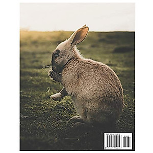 Bunny Sketchbook: Cute Sketchbook for Adults/Children Animals Lovers to Sketching, Large (8.5x11x Inch. 21.59x27.94 cm.) 120 Blank Pages (WHITE&BLACK&GREEN&YELLOW Pattern)