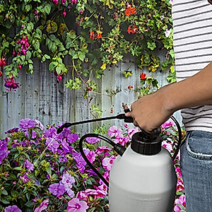 Spectracide Immunox Multi-Purpose Fungicide Spray Concentrate for Gardens, 16-oz, Fl. Oz, Pack of 6 (Total 96 Fl. Oz), Transparent