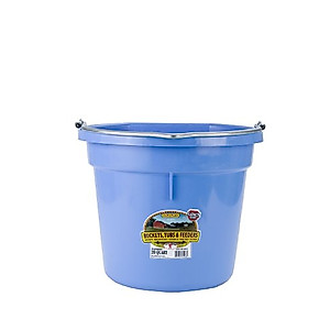 Plastic Animal Feed Bucket (Berry Blue) - Little Giant - Flat Back Plastic Feed Bucket with Metal Handle (20 Quarts / 5 Gallons) (Item No. P20FBBERRYBL6)