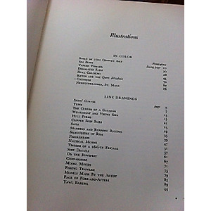 The Sailing Ship: A Study in Beauty