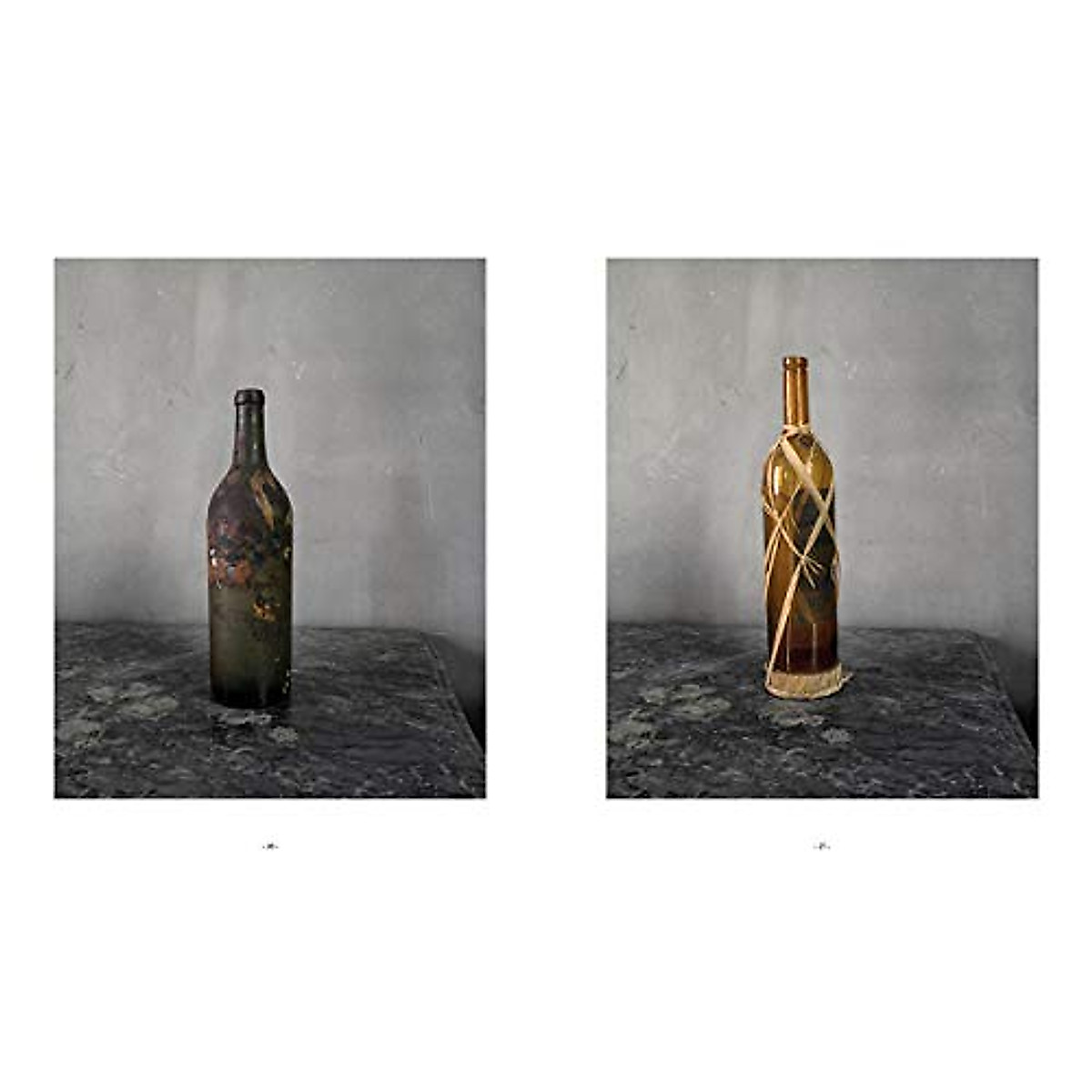 Joel Meyerowitz: Cézanne's Objects