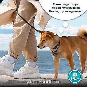 LeAcademic Dog Wound Drops | Drops for Dog Wound Care | Dog Wound Heal | Dog Wound Wash | Dog Wound Cleaner + Chlorhexidine | Wound Wash for Dogs | Colloidal Silver for Dogs | 2 Oz