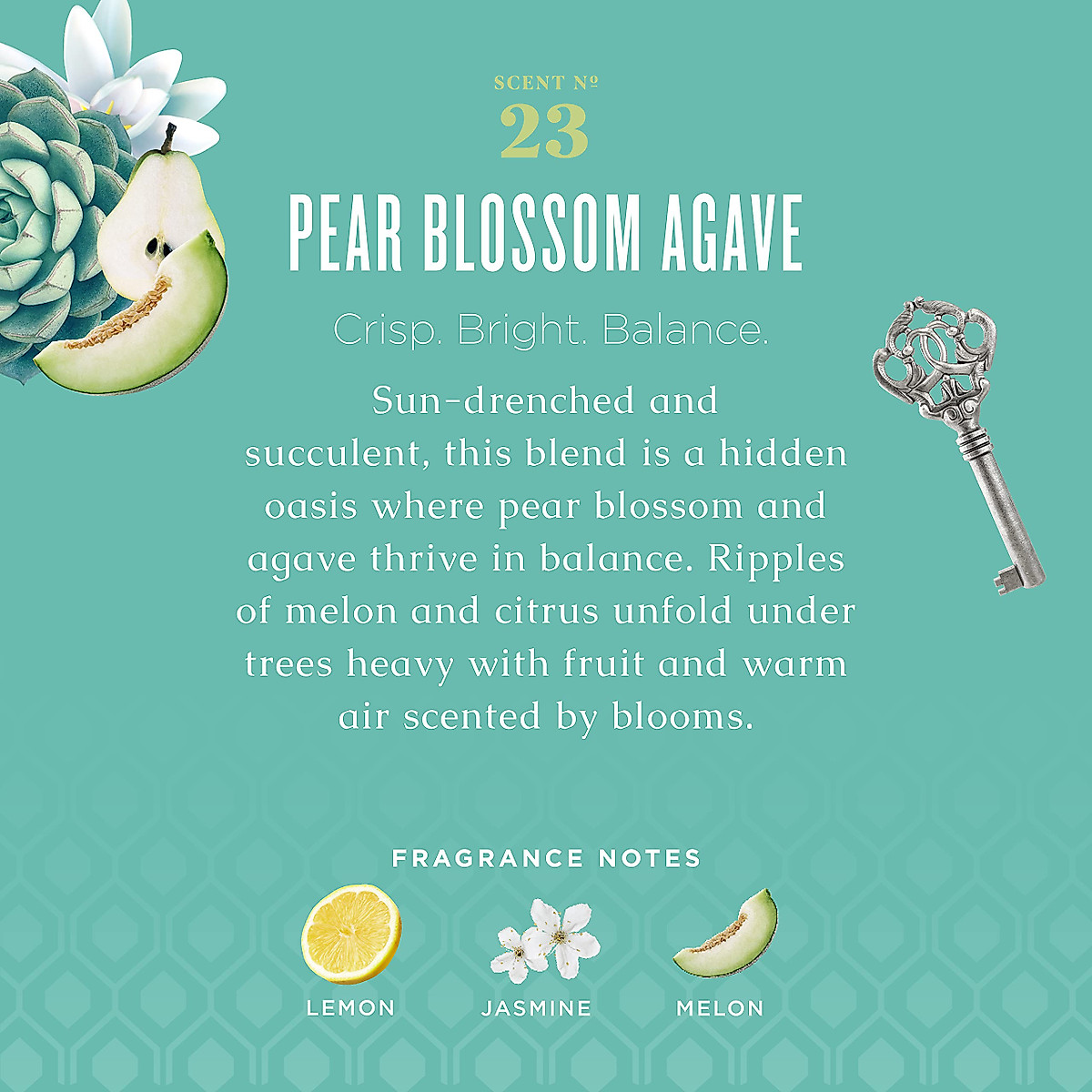 Caldrea Dish Soap, Biodegradable Dishwashing Liquid made with Soap Bark and Aloe Vera, Pear Blossom Agave, 16 oz , 3 Pack