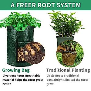 10 Gallon Plant Grow Bags-3 Packs, Fabric Grow Pots for Strawberry Potato Tomato Carrot & Other Vegetable, Heavy Duty Thickened Garden Growing Bags with Window and Handles (Dark Green)